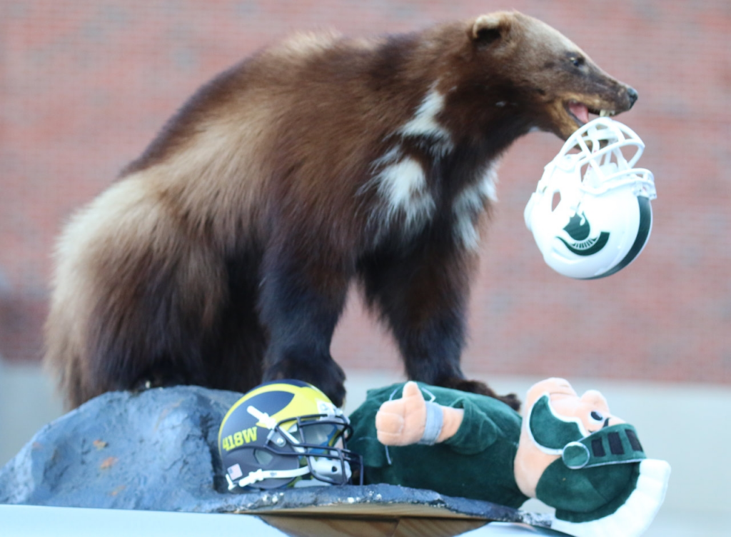 04/18/2021 – Michigan vs. MSU – The National Championship Comparison ...